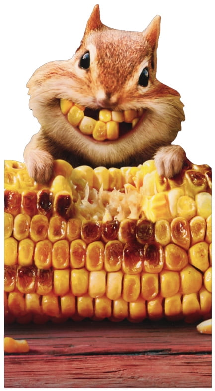 Avanti Press Chipmunk Corn Teeth Oversized Funny / Humorous Birthday ...