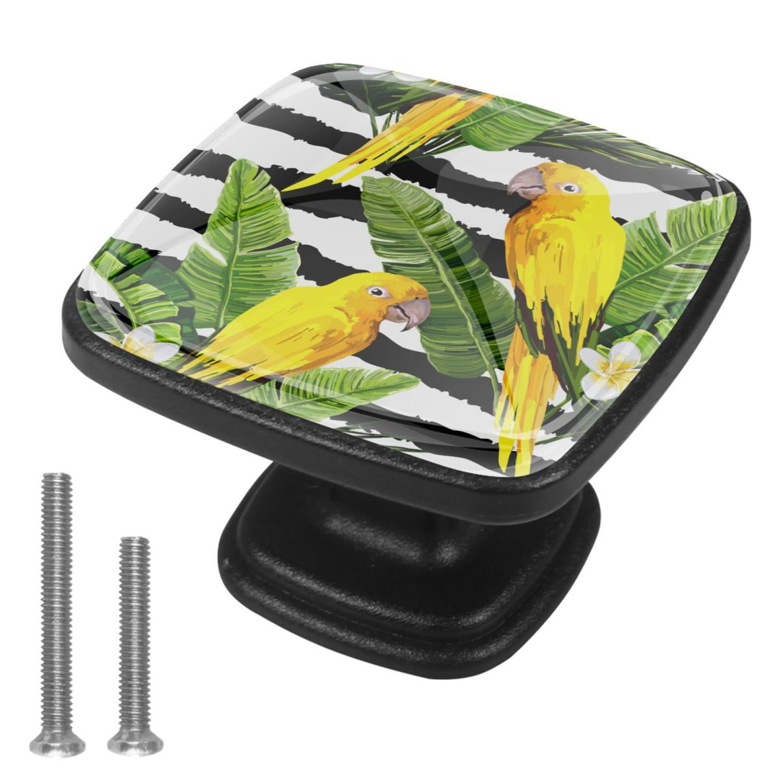 4 Pcs Cabinet Handle Drawer Pulls Parrot Knobs with Screws Square ...