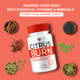 (3 Pack) Citrus Burn Weight Management Capsules, CitrusBurn Advanced ...