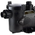 Jandy Pro Series Stealth Full-Rated 2.0 HP High Head Stealth Pool Pump ...