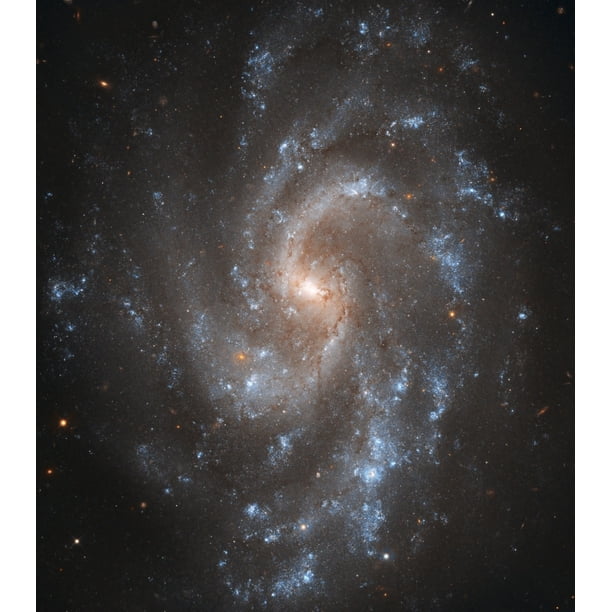 Spiral Galaxy NGC 5584. Amongst the myriad stars in spiral galaxy NGC ...