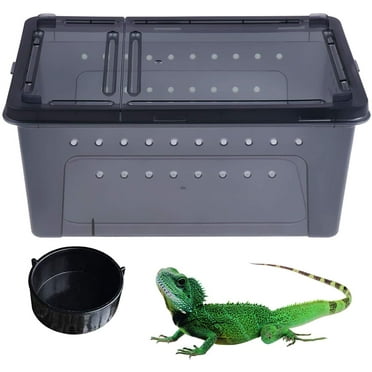 Manunclaims Reptile Small Snake Feeding Box Lizard Tarantula Habitat ...