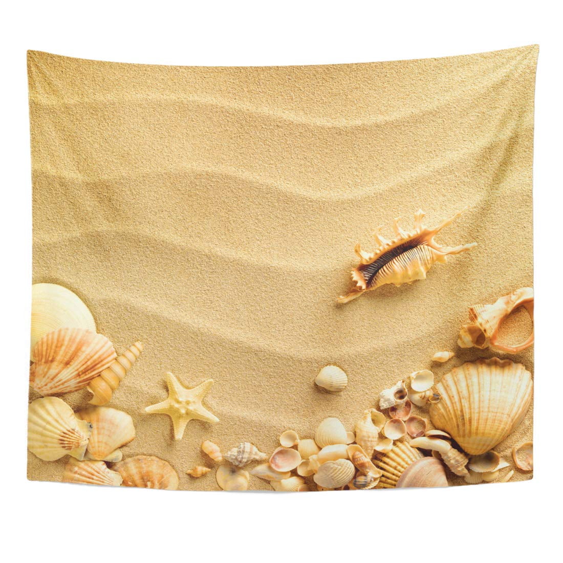 ZEALGNED Beach Seashell Sea Shells with Sand As Starfish Border Coast ...