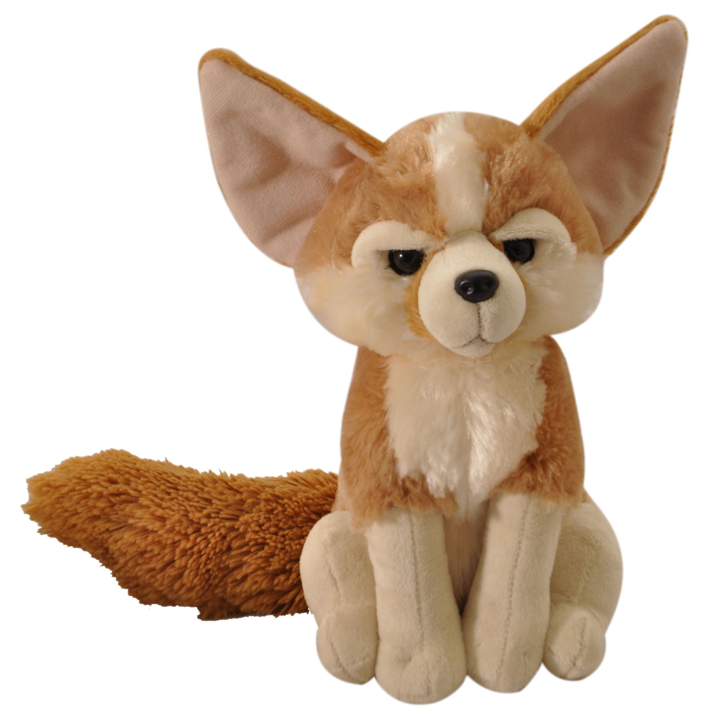 Fennec Fox In The Wild