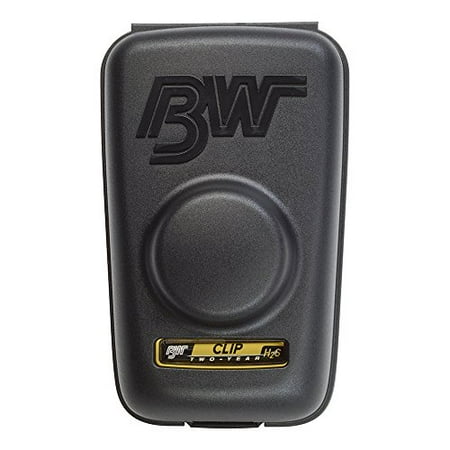 BW Technologies CLIPHB-CASE BW Clip Hibernation Case | Walmart Canada