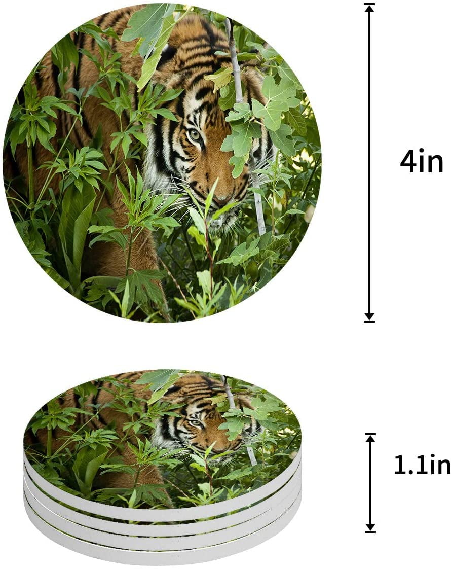 ZHANZZK Tiger Set of 6 Round Coaster for Drinks, Absorbent Ceramic ...