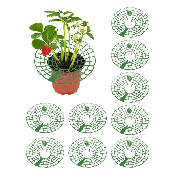 Strawberry Stands,Reusable Strawberry Growing Racks Frame For Plant ...