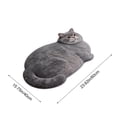 BBilaBu Cat Shaped Rug,Microfiber Absorbent Floor Mat,3D Kitten Mat ...