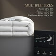 downlux Goose Down Fiber Comforter Size, Seasons Fluffy Comforter ...