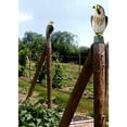 Falcon Decoy Bird Repellent Predator Flashy Reflective Eyes Owl Decoy ...