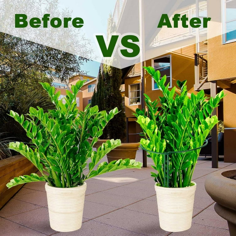 Best Hydrangea Support Cage K-Brands 12-Pack Plant Support Stakes ...