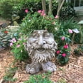 Homestyles Stone Wash Ole Salty the Muggly Face Humorous Statue Planter ...