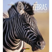 Mating Zebras