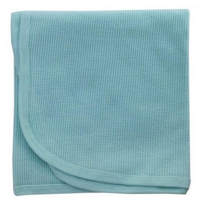 Click here for Bambini 3220 M Mint Thermal Receiving Blanket  30... prices