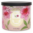 Mainstays 3-Wick Floral Scene Scented Jar Candle, Raspberry Peach Frose ...