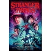 Stranger Things: Science Camp, Book 1 (Graphic Novel) - Walmart.com