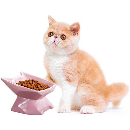 Raised Cat Food Bowl, Ceramic Slanted Cat Dish Bowls Pet Feeder with ...