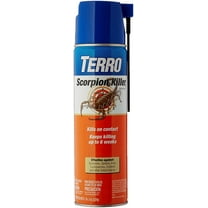 Black Flag Indoor & Outdoor Spider and Scorpion Killer, 16oz Aerosol ...
