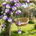 Giant Clematis Vine For Planting Ideal for Gardening Deer Resistant ...