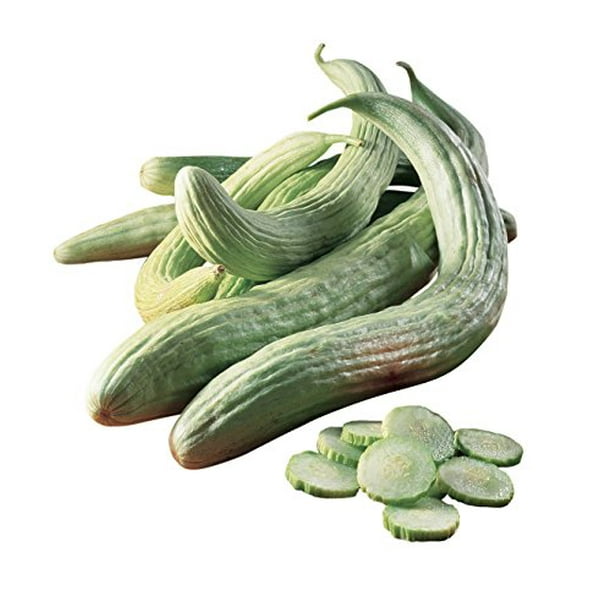 Burpee Armenian Cucumber Seeds 100 seeds - Walmart.com