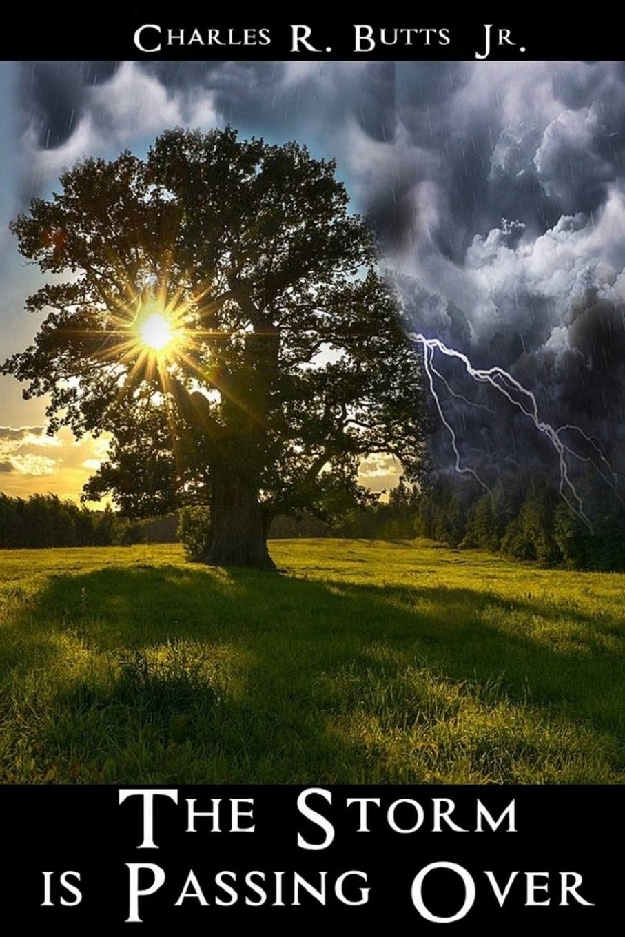 The Storm Is Passing Over (Paperback) - Walmart.com