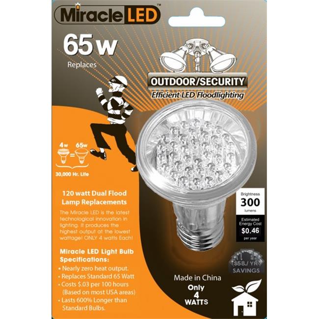 Miracle LED 605027 4-Watt Outdoor Security Bulb Cool White - Walmart.com