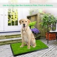 Dog Toilet Indoor Puppy Training Pad, Dog Potty Pet Training Grass Mat ...