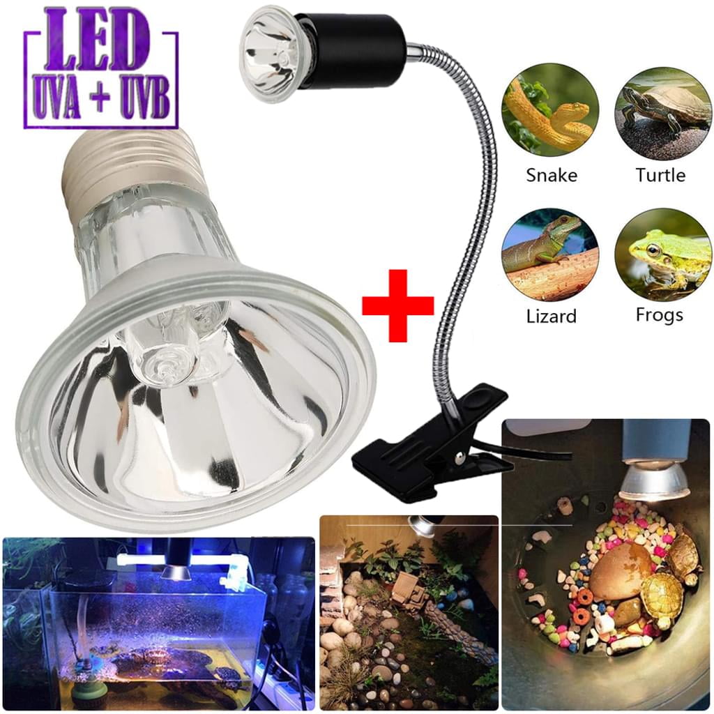 Heating light + lamp holder terrarium aquarium heat lamp reptile ...