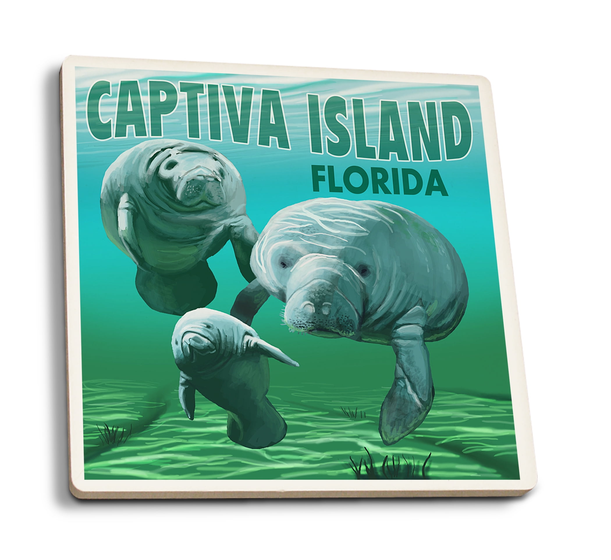Captiva Island, Florida, Manatees (Absorbent Ceramic Coasters Set of 4 ...
