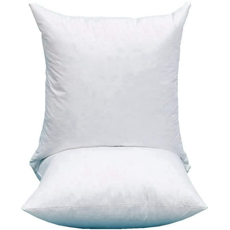 2 Pack 20 x 20 Inch Square Pillow Inserts for Sofa, Decorative Throw ...