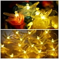 Bincy Indoor 10 ft Battery Powered LED Dragonfly Starry String Light ...