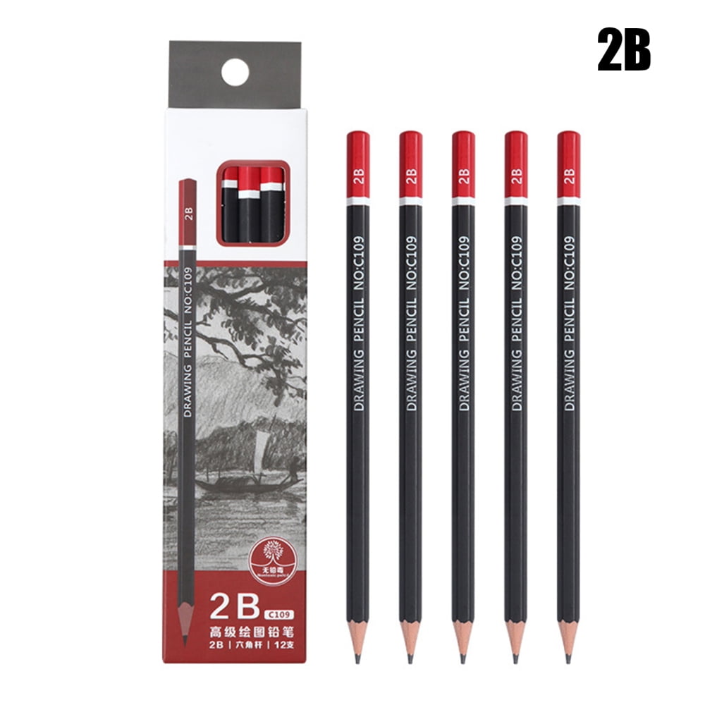 Professional Drawing Sketching Pencil Set 12Pcs Graphite Pencils for ...