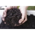 Hirt's Gardens All Natural General Purpose Potting Soil - 8 Quart ...