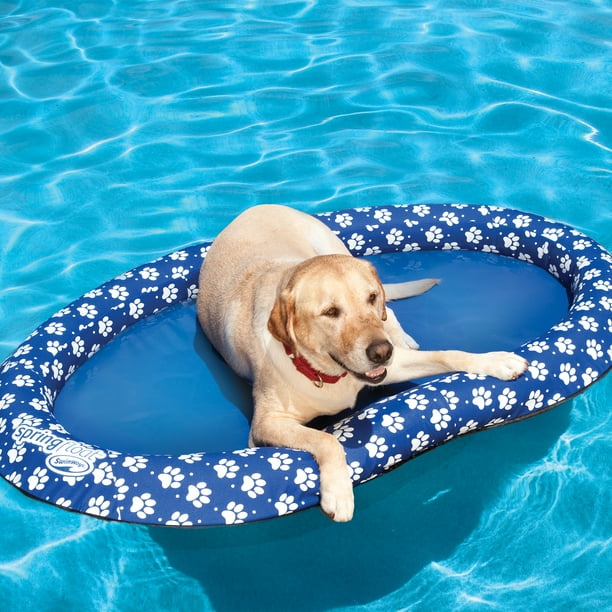 SwimWays Spring Float Paddle Paws Dog Pool Float - Large (65 lbs and Up ...