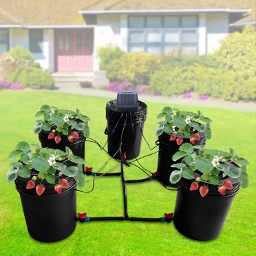Active Aqua Hydroponic 5-Gal Root Spa Deep Water Culture System with ...