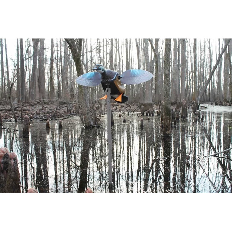 Waterfowl Hunting Gear MOJO Spinning Wing Duck Decoy | Realistic Wood ...