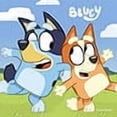 Bluey Cereal, Crispy Corn Cereal Puffs, Made with Whole Grain, 2 Bags ...