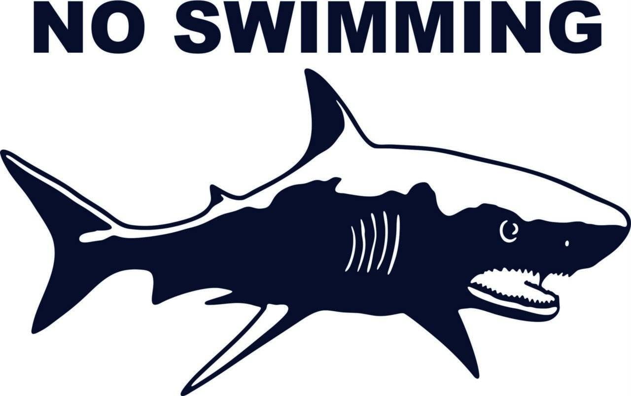 Design With Vinyl No Swimming Shark Artwork Dreams of Baby Sharks ...