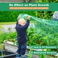 Bird Netting Reusable Anti Bird Net Protect Fruit Trees Blueberries Plants And Vegetables From