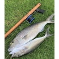 Aussie Reels Spearfishing Reel Line Stiff 100% UHMWPE Shooting line ...