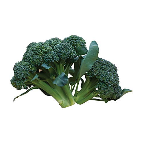 Burpee Sun King Broccoli Seeds 400 seeds - Walmart.com