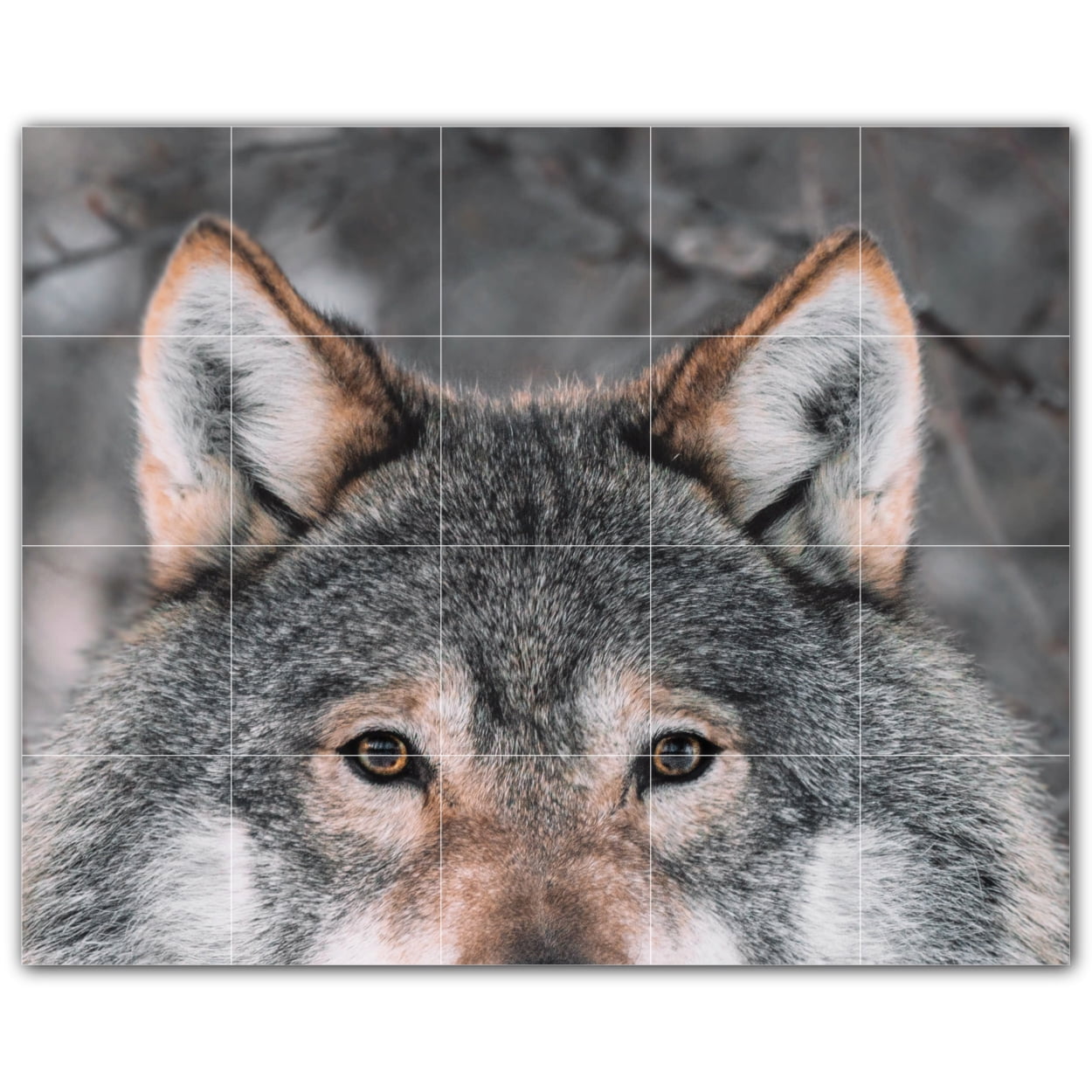 Picture-Tiles.com: Wolf Ceramic Tile Wall Mural WAL501232-54XL. 60"W x ...