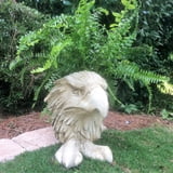 Homestyles Antique White American Eagle Muggly Mascot Animal Statue ...