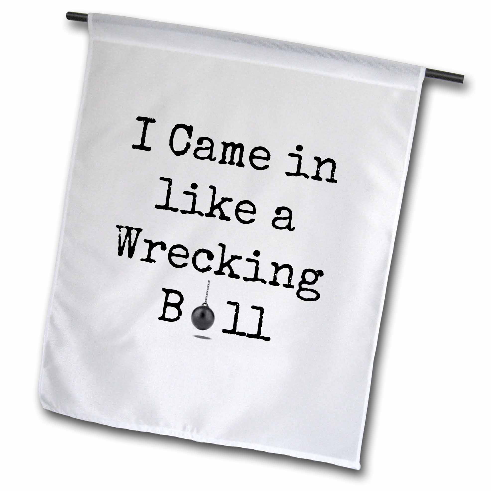 3dRose I came in like a wrecking ball black letters with picture of ...