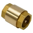 qiya Sturdy Brass Inline Check Valve NPT 3/4 Spring Loaded for Various ...