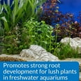 API Root Tabs Plus Iron Promotes Lush Growth of Aquarium Plants ...