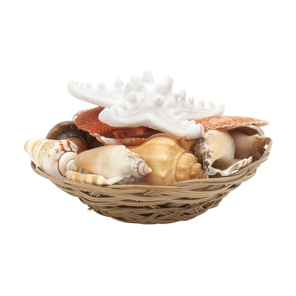 Enthralling Sea Shell Bowl - Walmart.com - Walmart.com