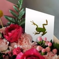 3drose, European Green Tree Frog Isolated, 6 Greeting Cards with ...
