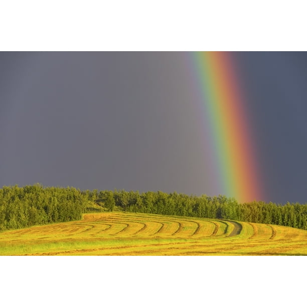A rainbow appears over a freshly raked field of hay; Delta Junction ...