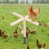 Ruike Sturdy Wooden Chicken Perch Toy with Metal Ground Stake - Coop ...